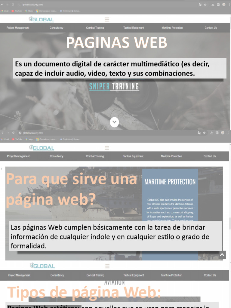 Tipos y Funciones de Páginas Web | PDF