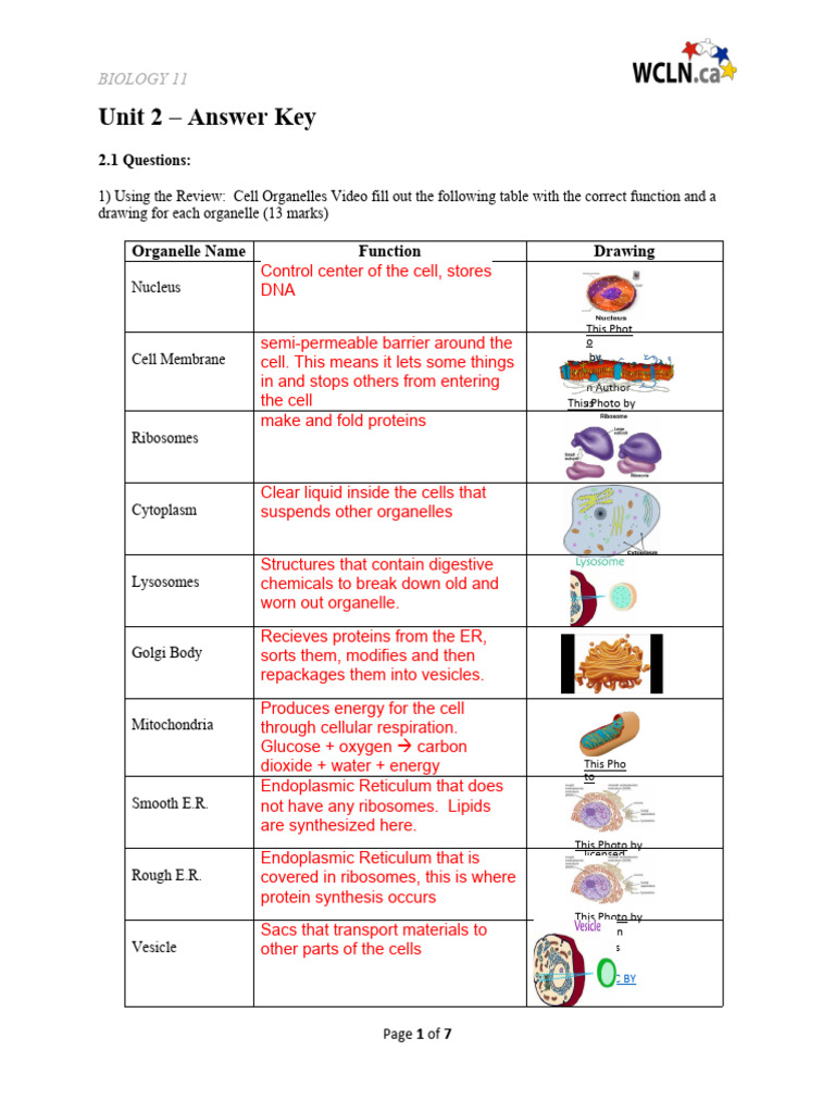 Unit 2 Key | PDF | Cell (Biology) | Sexual Reproduction