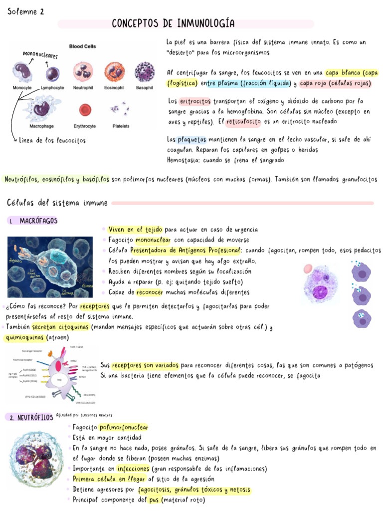 Conceptos de Inmunología: Mononucleares | PDF | Sistema inmune | Linfocitos
