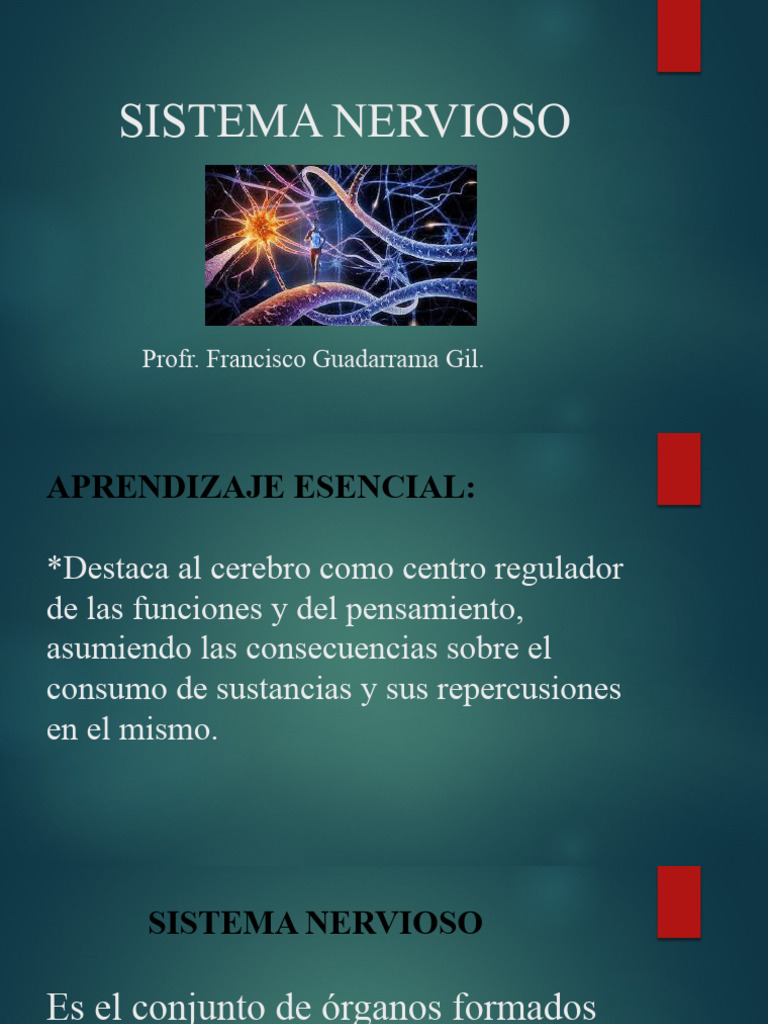 Presentación Sistema Nervioso. | PDF