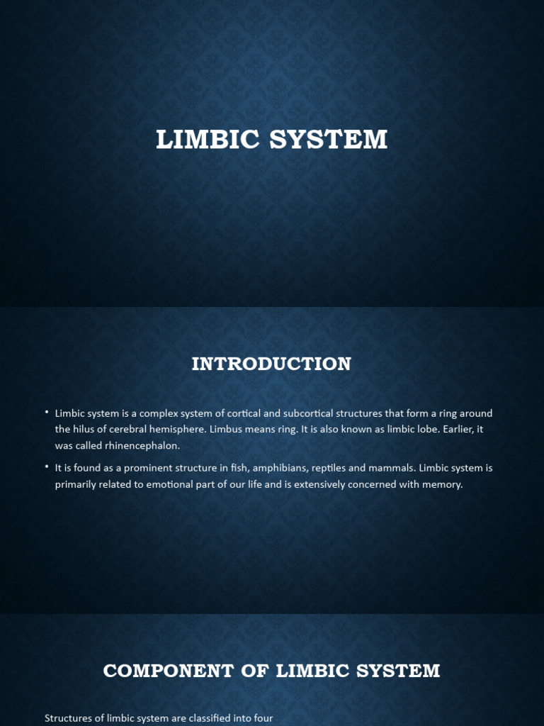 Limbic System | PDF