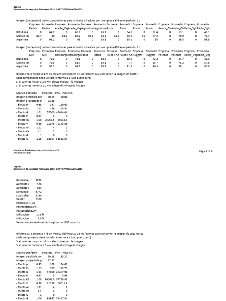 Informe de Imagen de Empresa 476 | PDF | Informática
