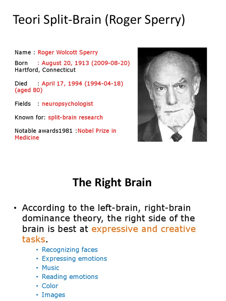 Roger Sperry's Split-Brain Theory | PDF | Lateralization Of Brain ...