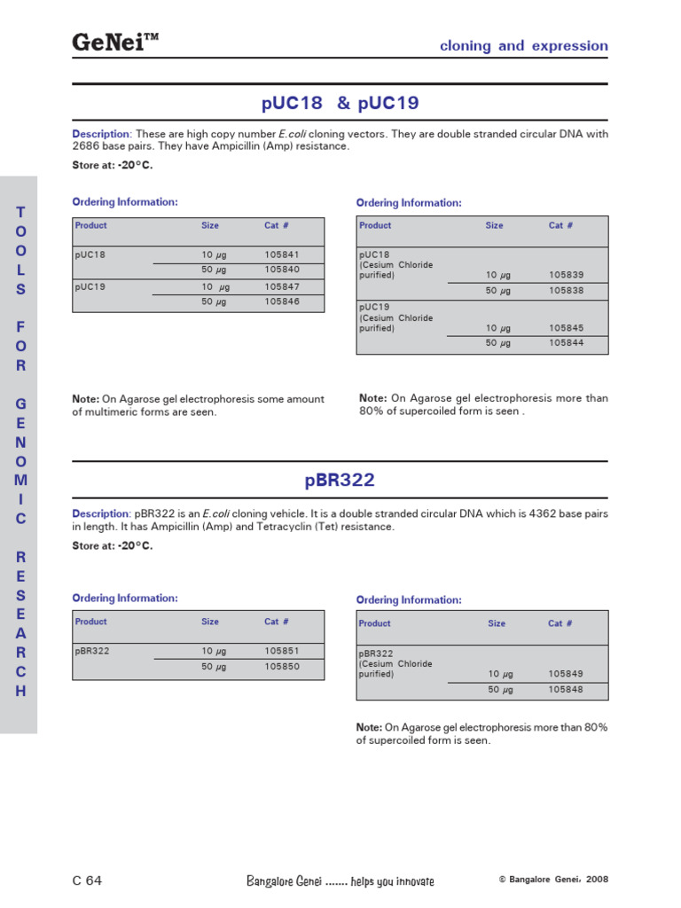 PuC Vectors | Download Free PDF | Agarose Gel Electrophoresis | Gel ...