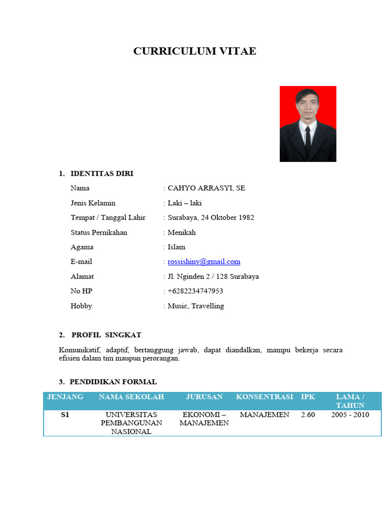 Curriculum Vitae Rossi | PDF