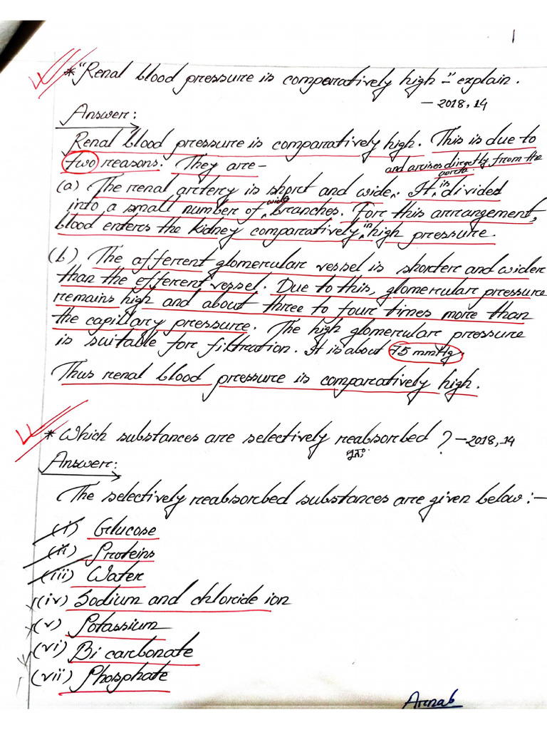 Excretory System Note by Arnab Bhai | PDF