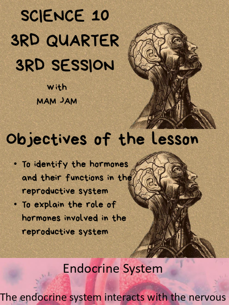 Endocrine System Pdf Hormone Endocrine System