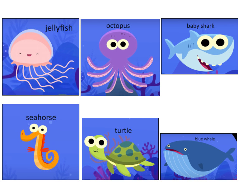 Sea Animals | PDF