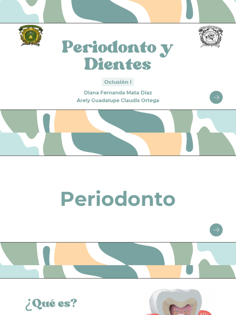 Periodonto y Dientes | PDF | Diente | Epitelio