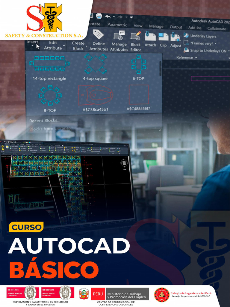 Brochure AUTOCAD - Nivel Básico | PDF