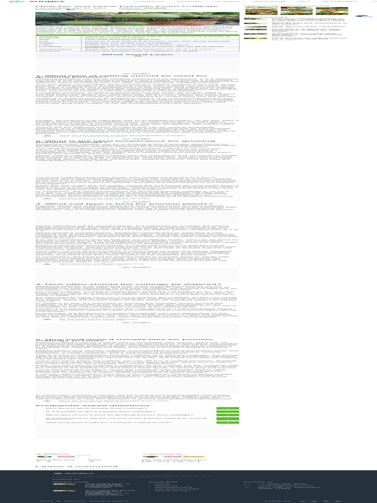 How Do You Grow Pomelo From Cuttings - ShunCy | PDF | Grafting | Soil