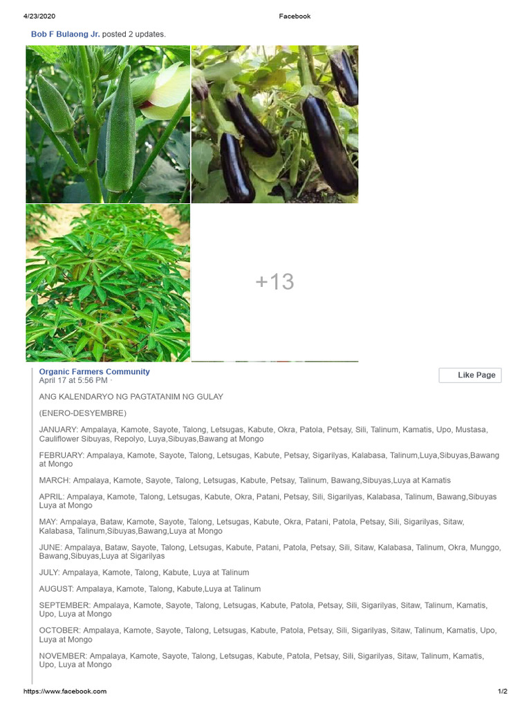 Buwan para sa gulay | PDF