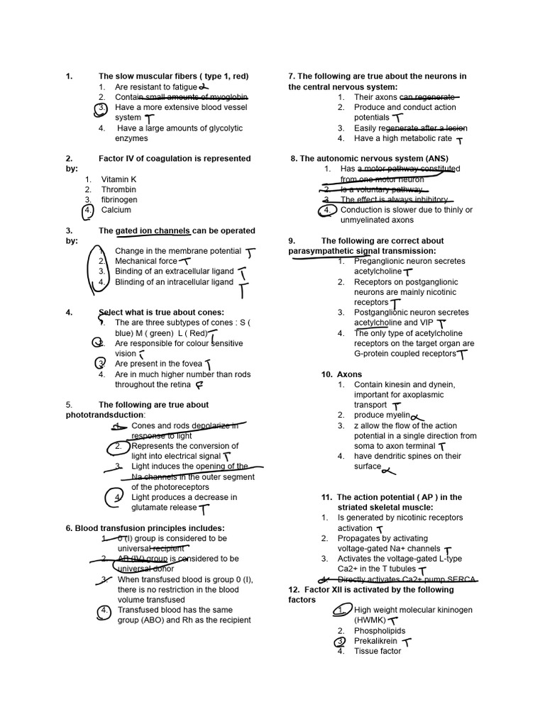 Physio Sample Exam (Last Year Exam) | PDF | Neuron | Axon