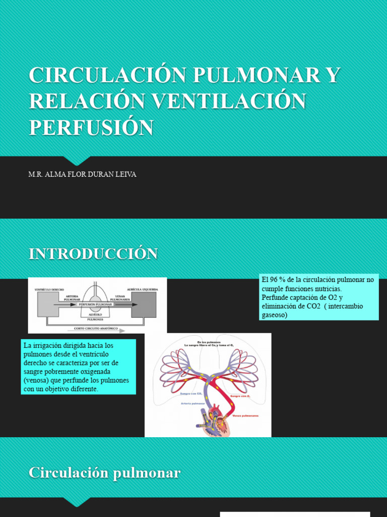 Circulación Pulmonar y Relación Ventilación Perfusión | PDF | Sistema circulatorio | Pulmón