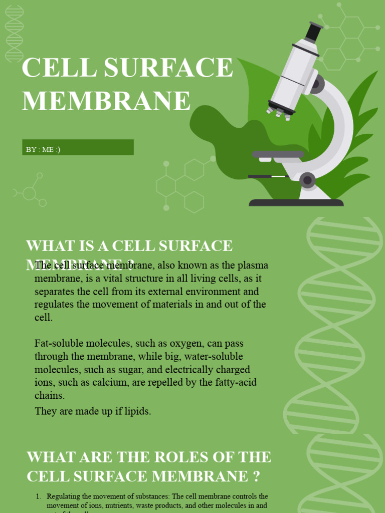 Cell Surface Membrane | PDF | Cell Membrane | Cell (Biology)