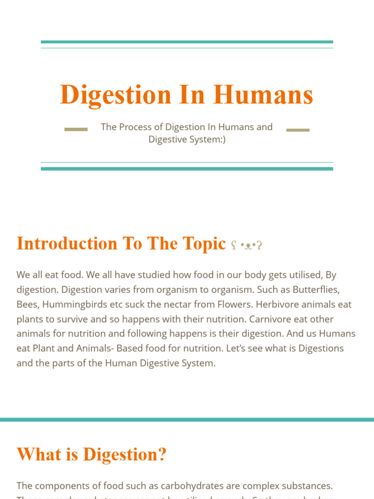 Digestion in Humans | PDF | Digestion | Human Digestive System