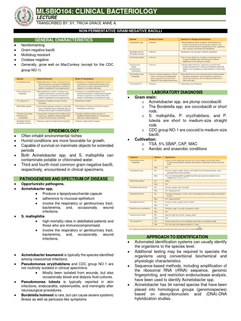Lec - Bacte - Non Fermentative Gram Negative Bacilli - Midterms | PDF | Gram Negative Bacteria ...