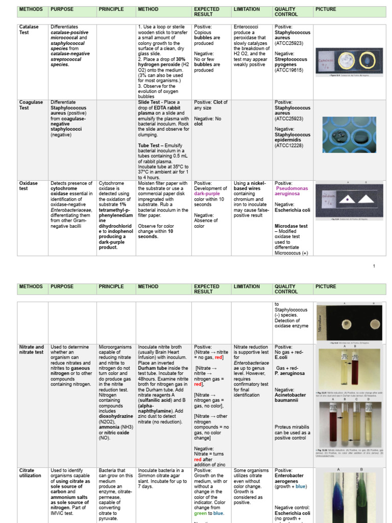 LAB - BACTE - Bacterial Identification Methods and Strategies TABULAR ...