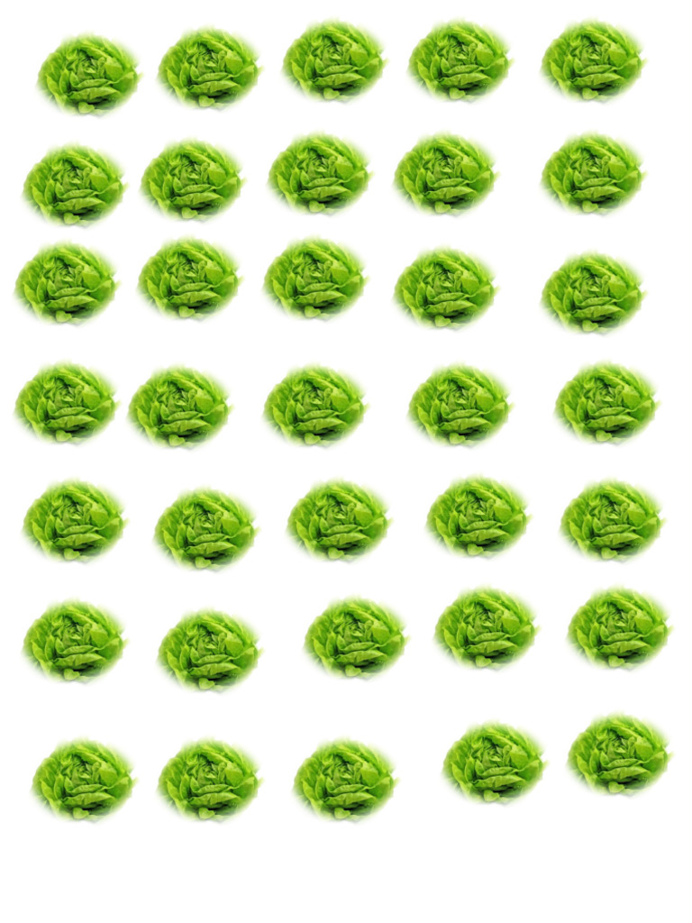 Salata | PDF