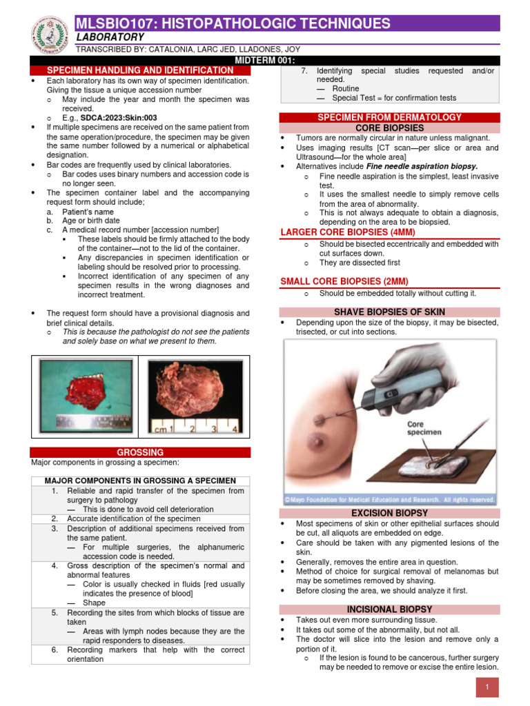 Histopathology Lab Techniques Guide | PDF | Biopsy | Cytopathology