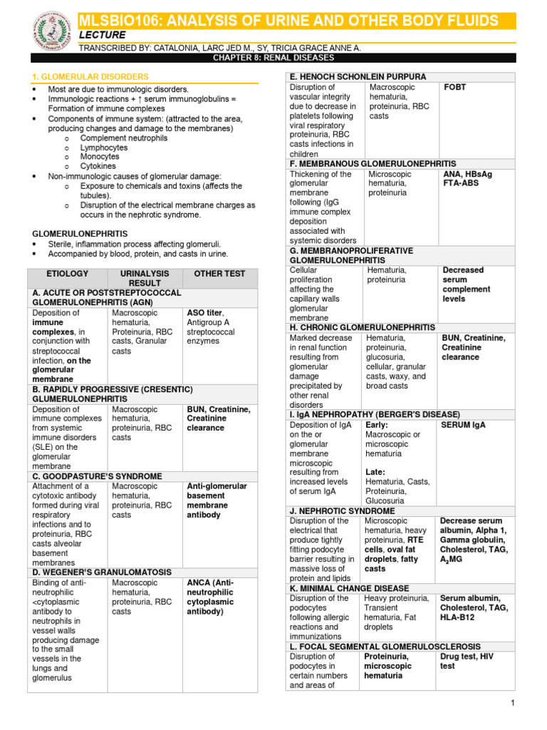 LEC AUBF Renal-Diseases MIDTERMS 02 | PDF | Diseases And Disorders | Anatomy