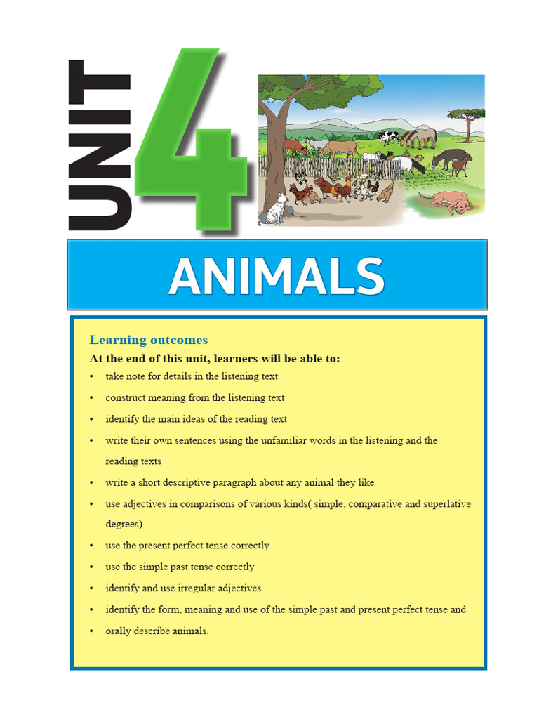 English Grade 6 Students TextBook Bini Design | PDF