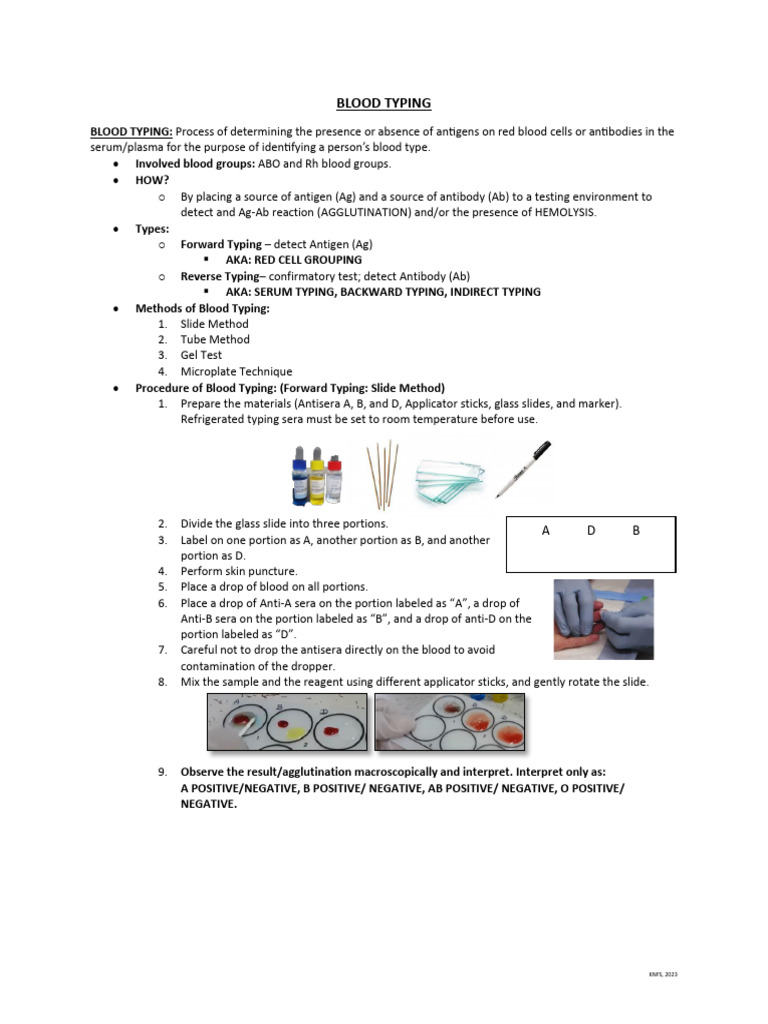 Blood Typing | PDF