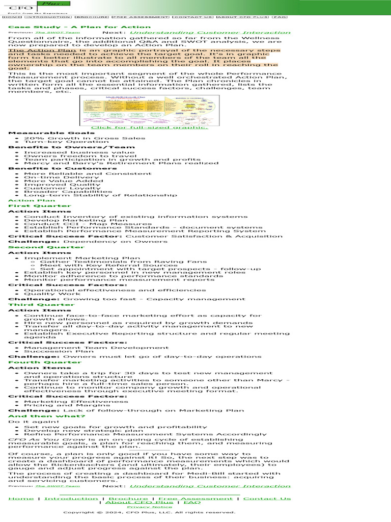 CFO Plus Case Study - A Plan For Action | PDF | Career & Growth | Business