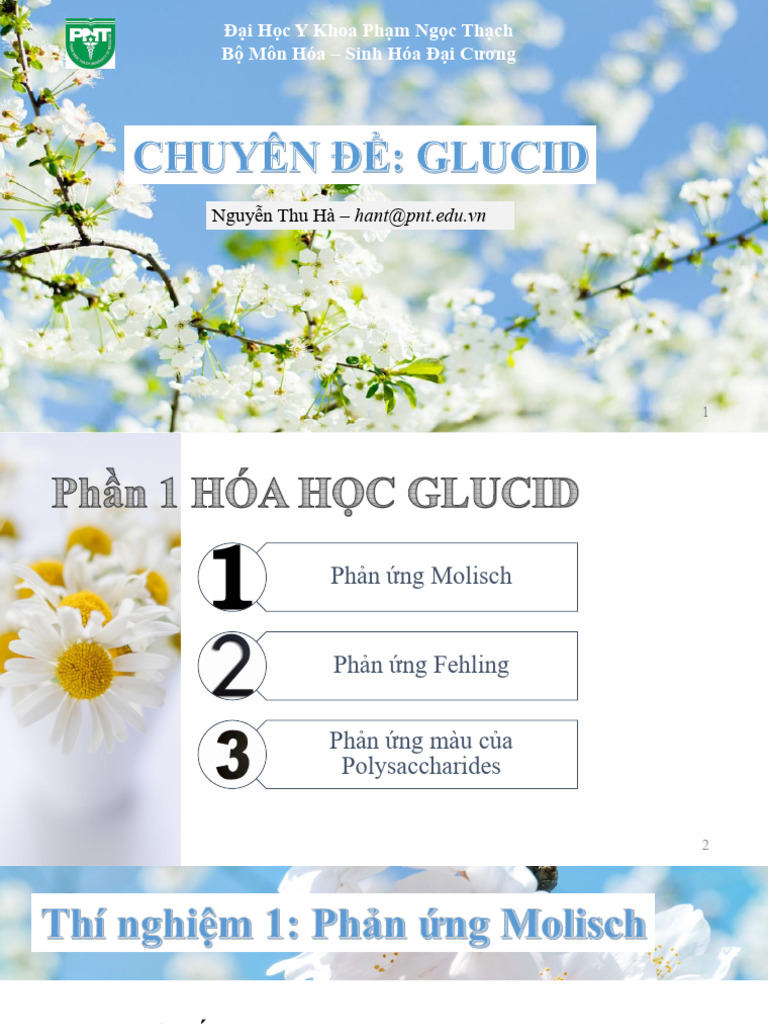 001 - TTHS - CHUYÊN ĐỀ GLUCID - 08 01 2023 | PDF
