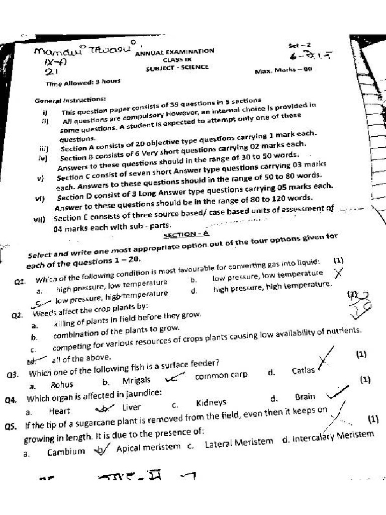 NEW DOC 10-Mar-2024 17.59.03 | PDF