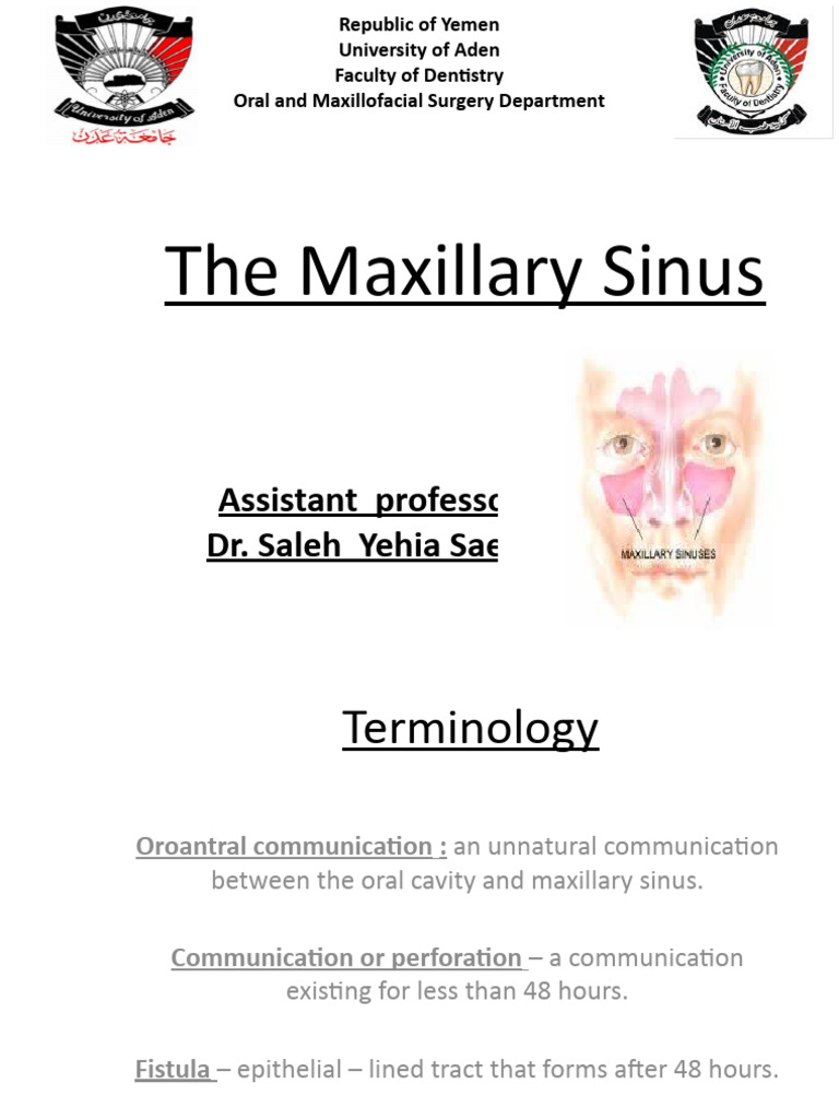 Sinusitis 2 - New1 | PDF | Medical Specialties | Health Sciences