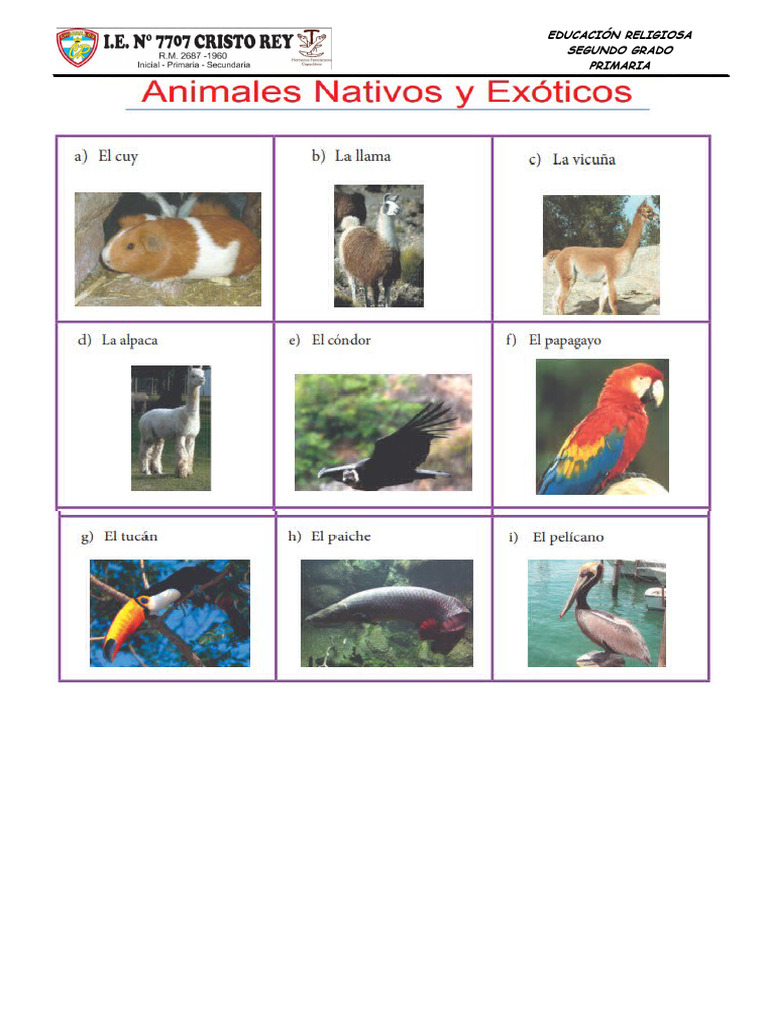 Animales Nativos y Foráneos Del Peru | PDF