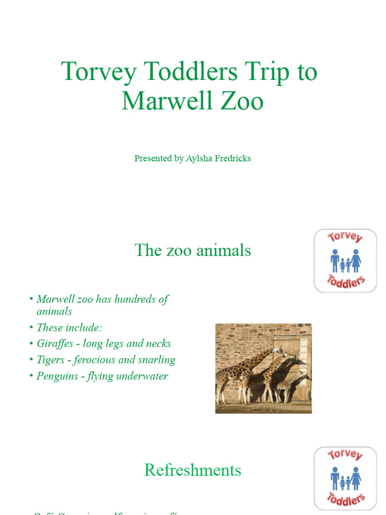 Hamza Marwell Zoo Presentation | PDF | Home & Garden
