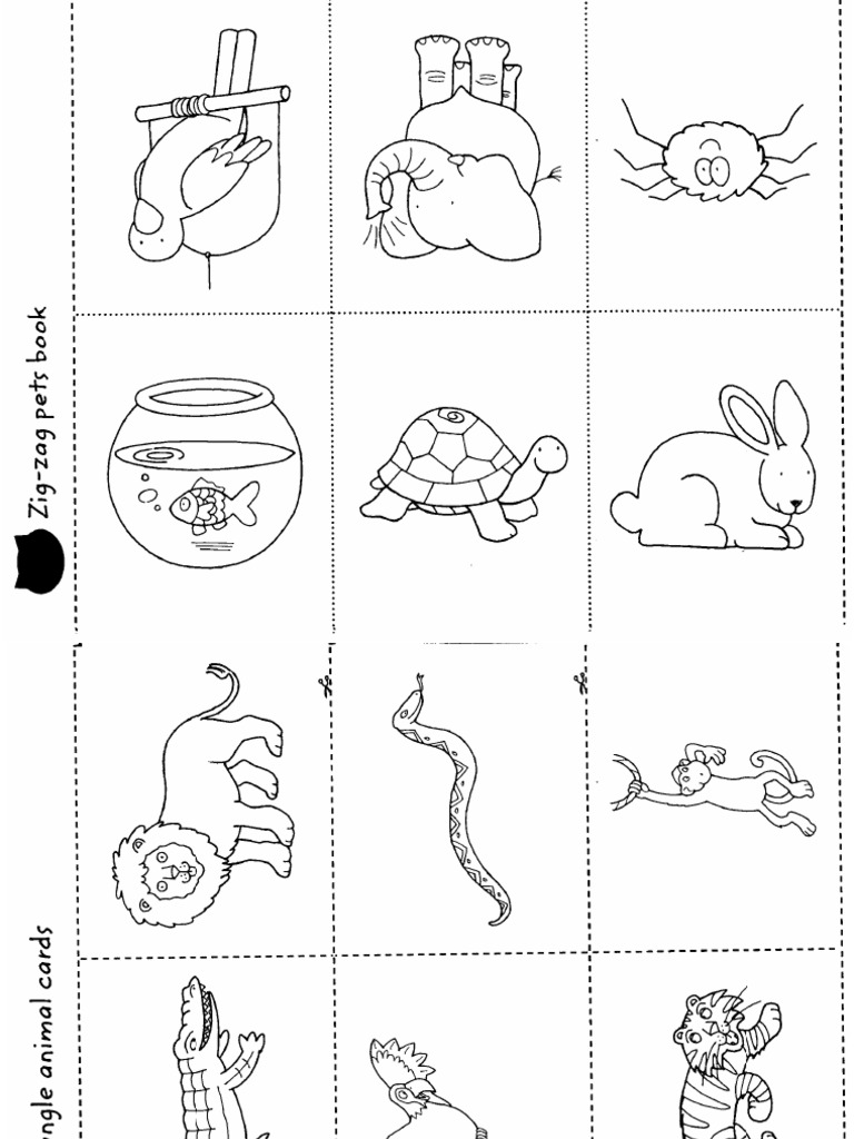 Printable Activities | PDF
