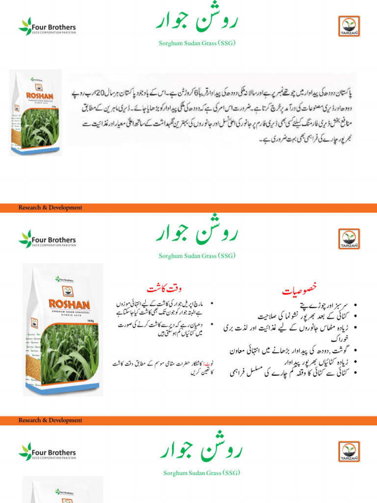 Roshan SSG PDF-1 | PDF