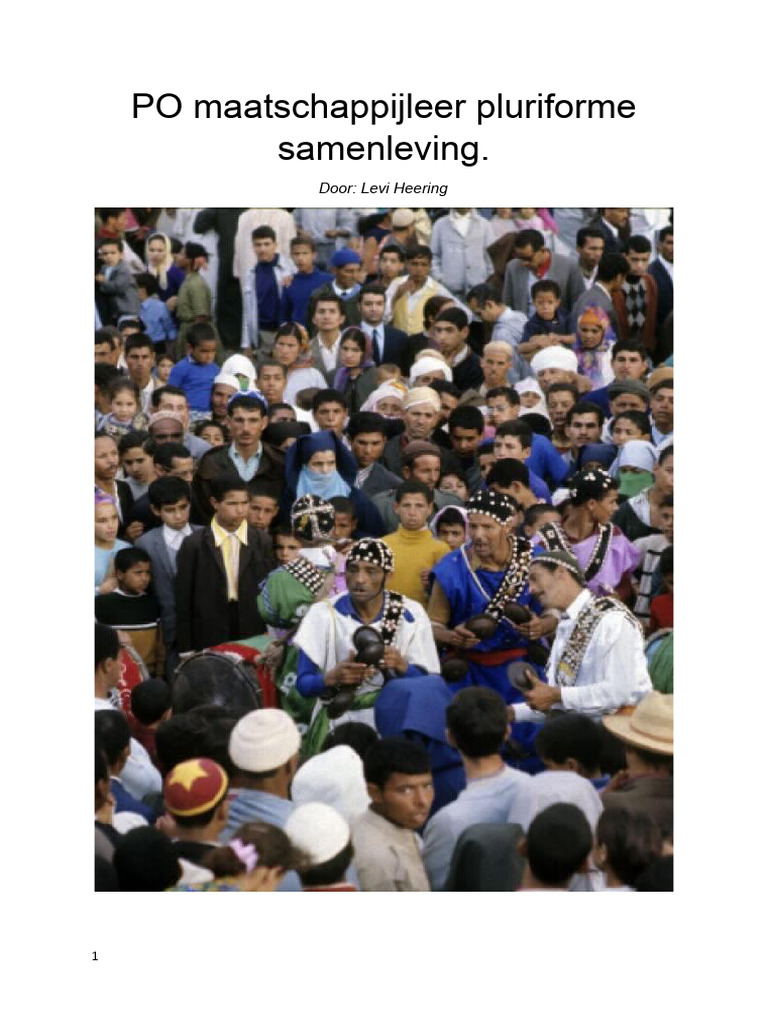 PO Maatschappijleer Pluriforme Samenleving | PDF