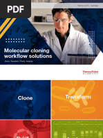 Intraperitoneal Ip Injection in Rats and Mice Sop | PDF | Injection ...