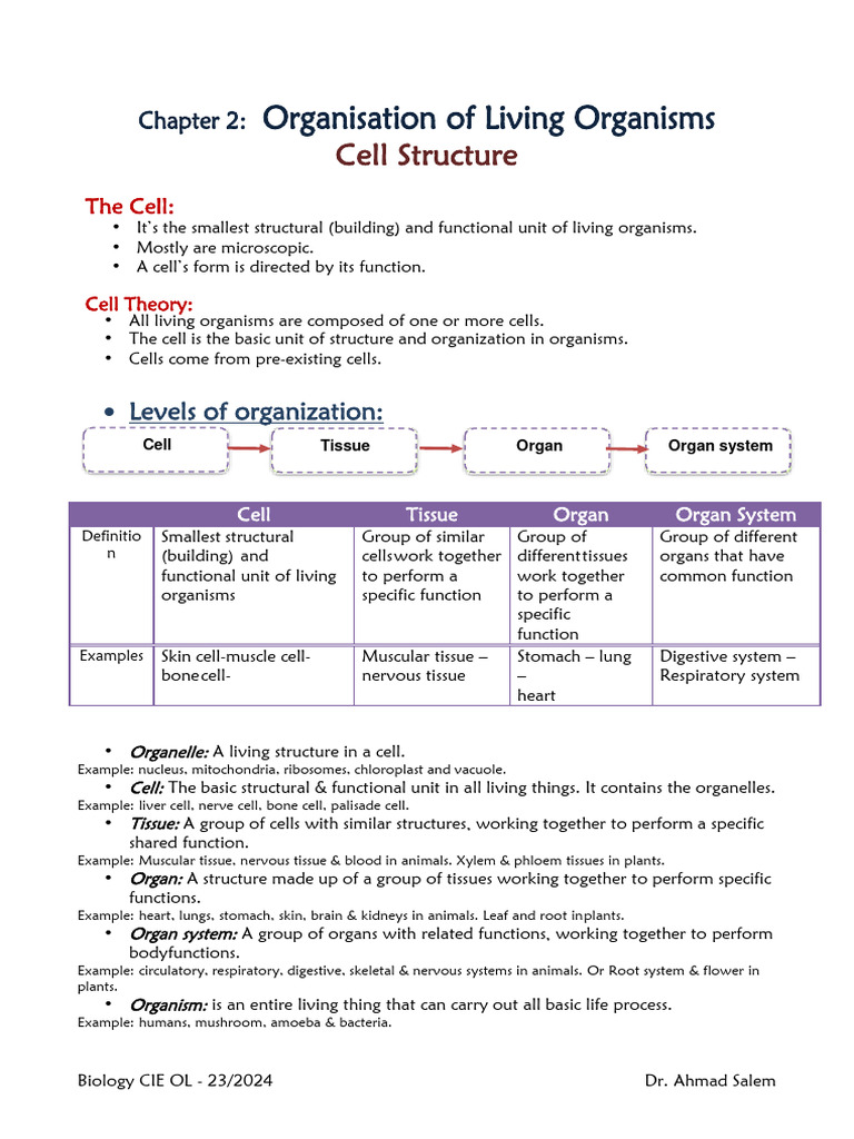 Biology Y10 Ch2 | PDF | Cell (Biology) | Chloroplast