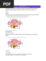 Proses Apogami dan Poliembrioni pada Biji | PDF | Sains & Matematika
