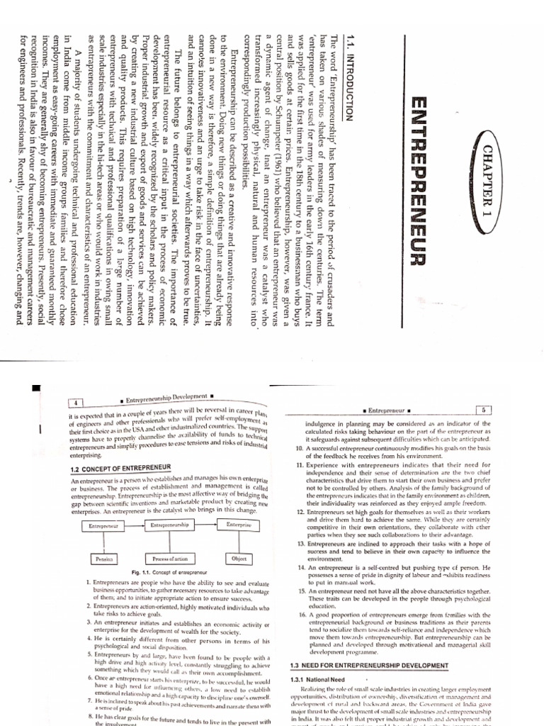 Entrepreneurship | PDF