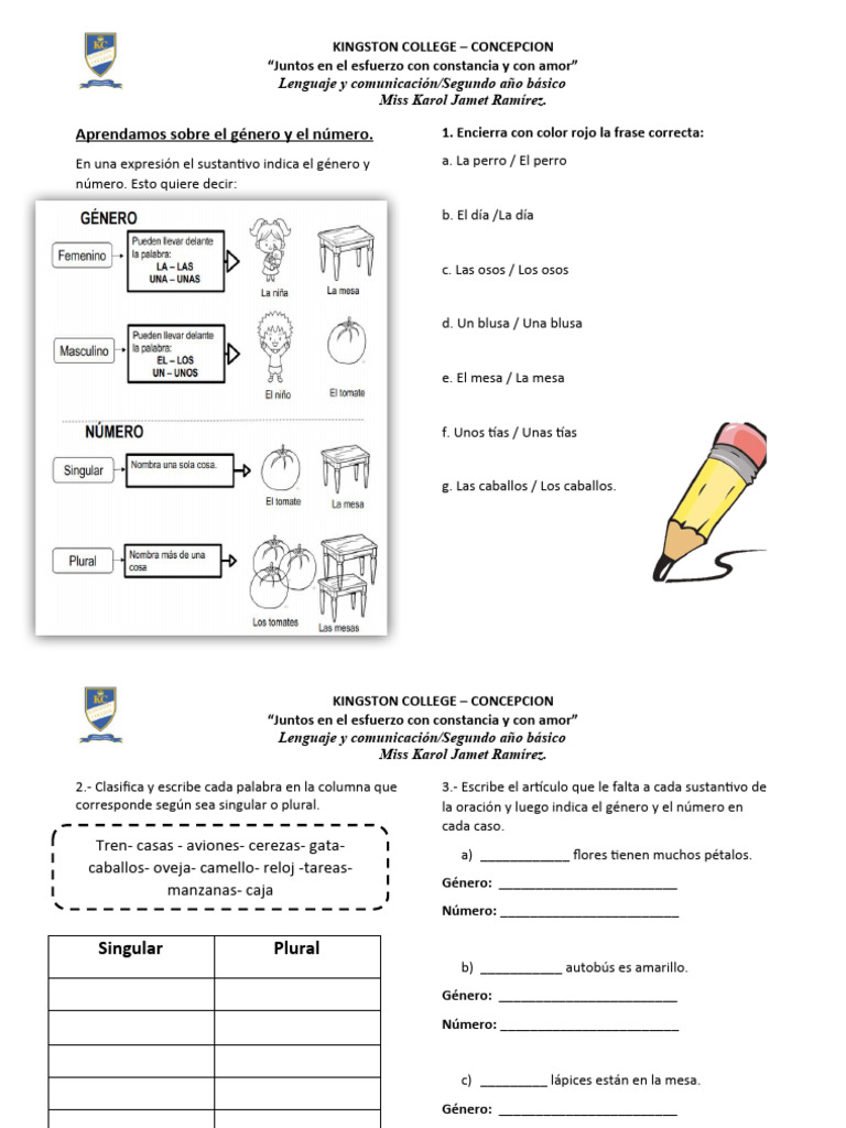 Aprendamos Sobre El Género y El Número | PDF | Sintaxis | Tipología ...