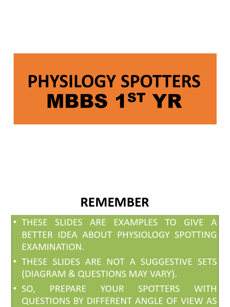 1st Yr Spotters | PDF | Human Anatomy | Nervous System