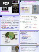 Alpaca Anatomical Atlas | PDF | Pelvis | Human Anatomy