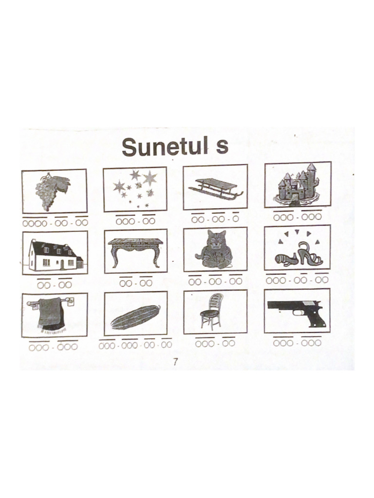 Sunetul S2 | PDF