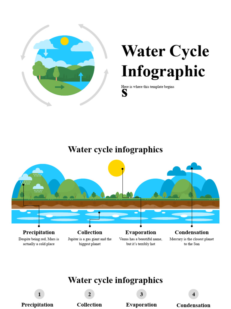 Water Cycle Infographic Guide | PDF | Social Science | Technology & Engineering
