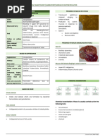 Guaiac Test | PDF | Human Feces | Clinical Medicine