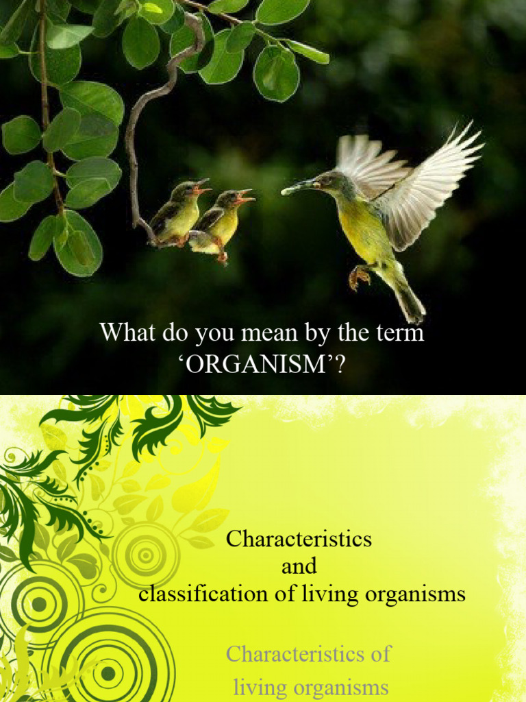 UNit 1-Characteristics and Classification of Living Things | PDF | Cell ...