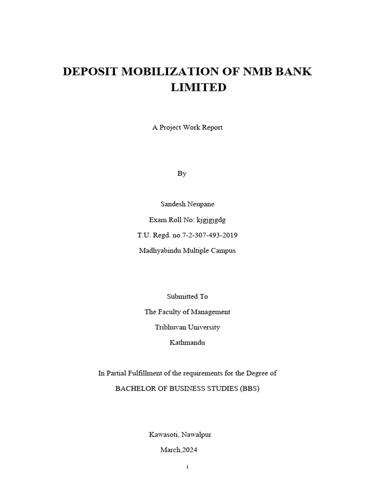 BBS Project: NMB Bank Analysis | PDF