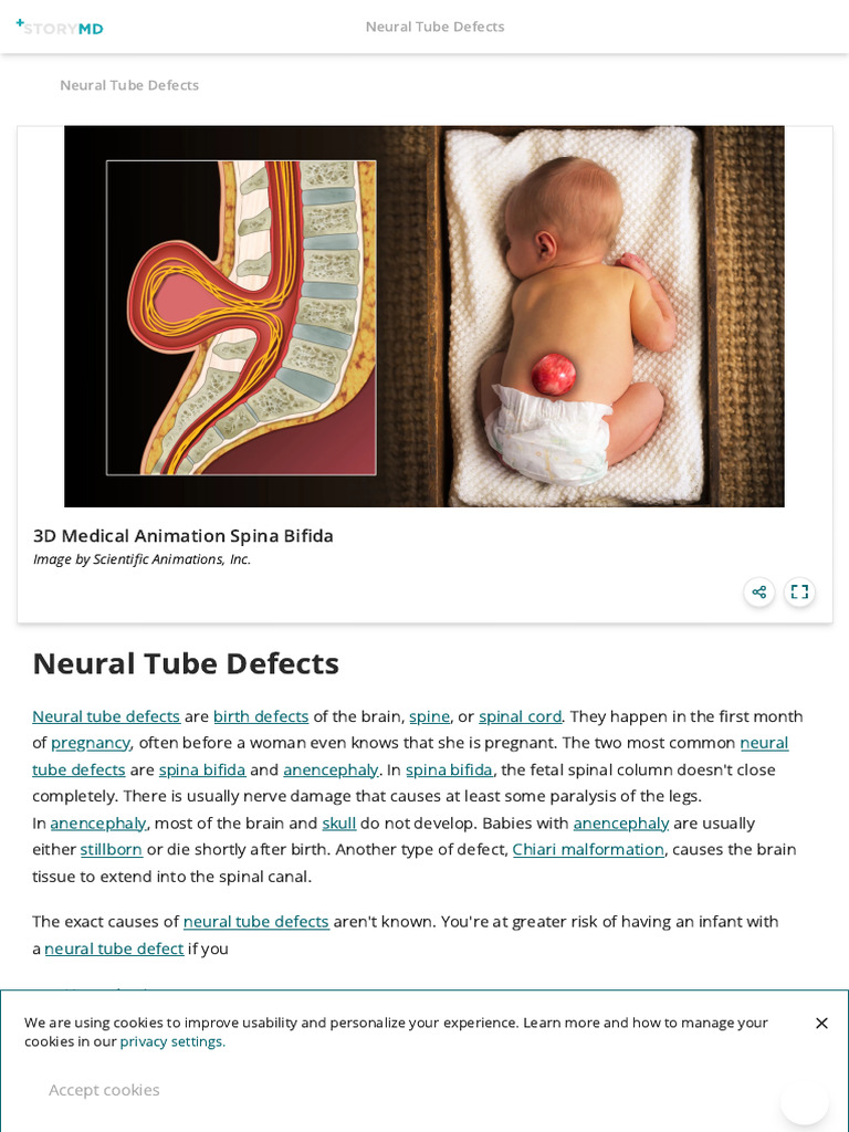 Neural Tube Defects - StoryMD | PDF | Health Sciences | Medical Specialties