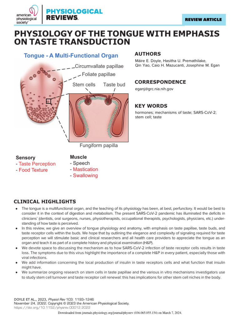 Physiology of The Tongue With Emphasis On Taste Transduction | PDF ...